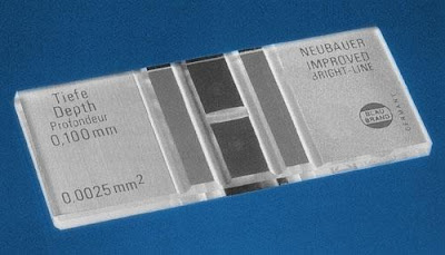 Operar Equipo y Material de Laboratorio.: Camara De Neubauer